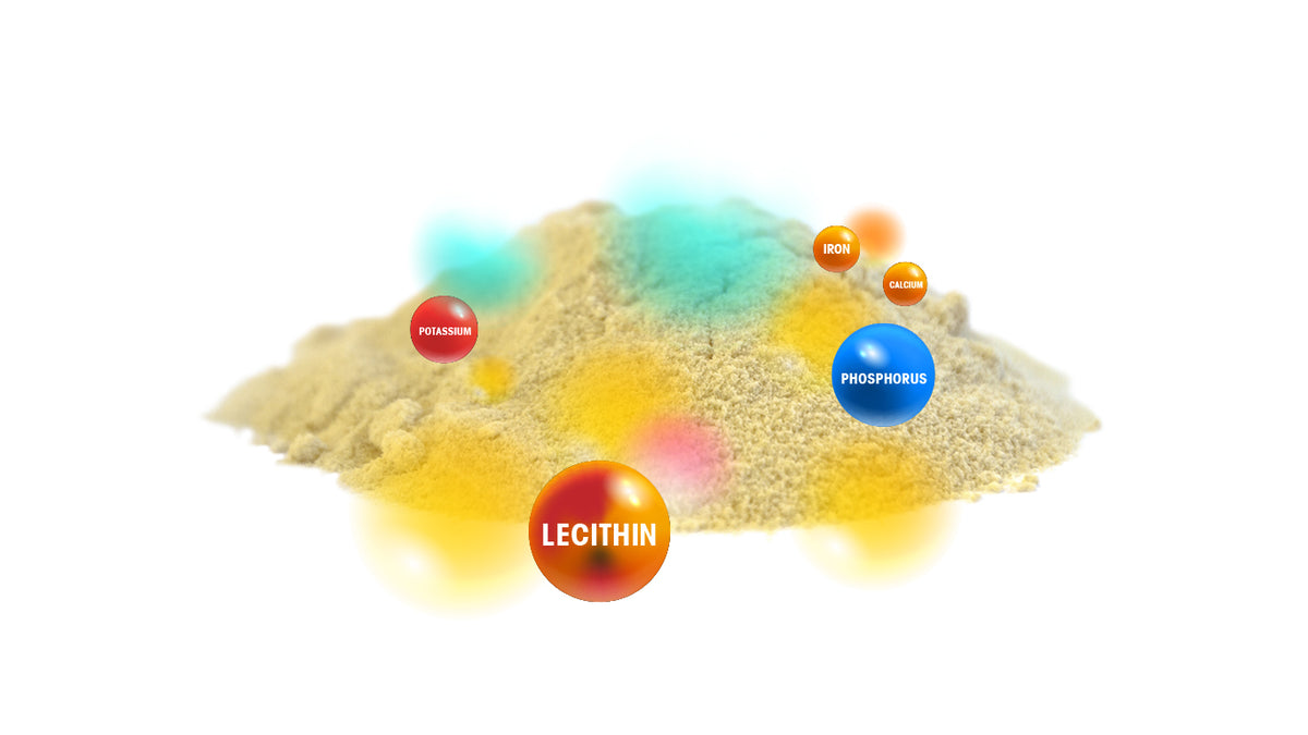 Lecithin vegetable blends - Vegan Tabs – VeganTabs